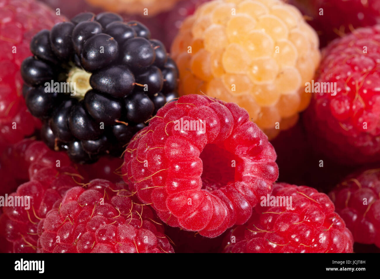 background of group of colorful raspberries macro Stock Photo - Alamy