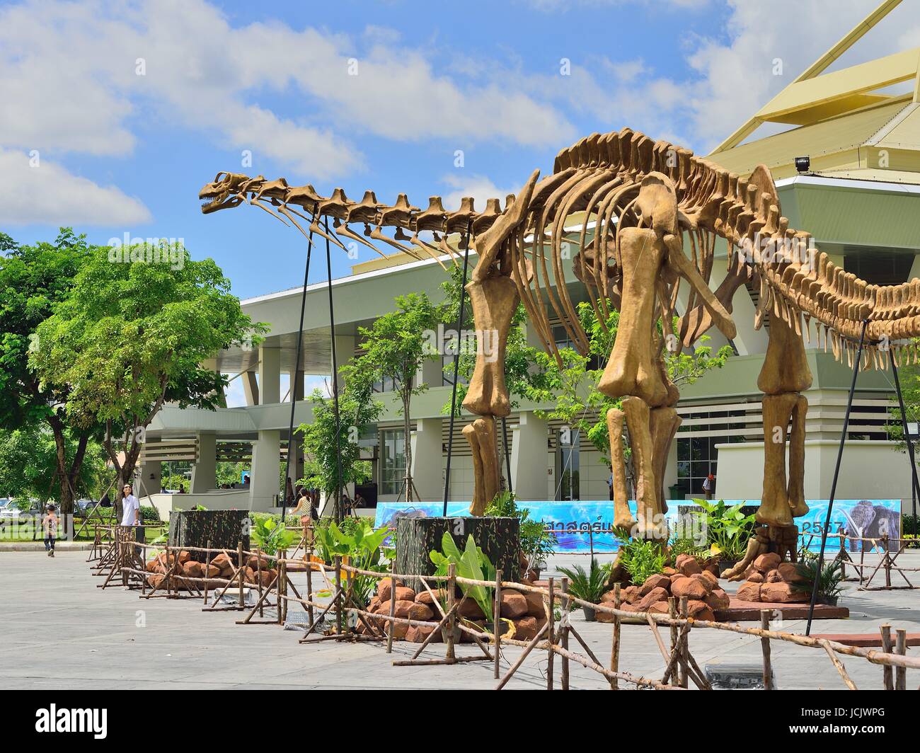 Argentinosaurus hi-res stock photography and images - Alamy