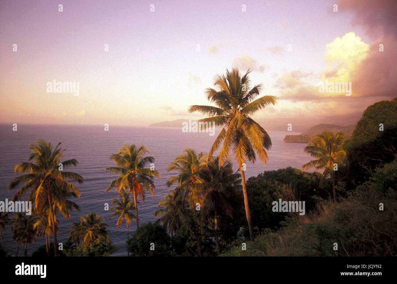 the landscape on the coast of the village Moya on the Island of Anjouan ...