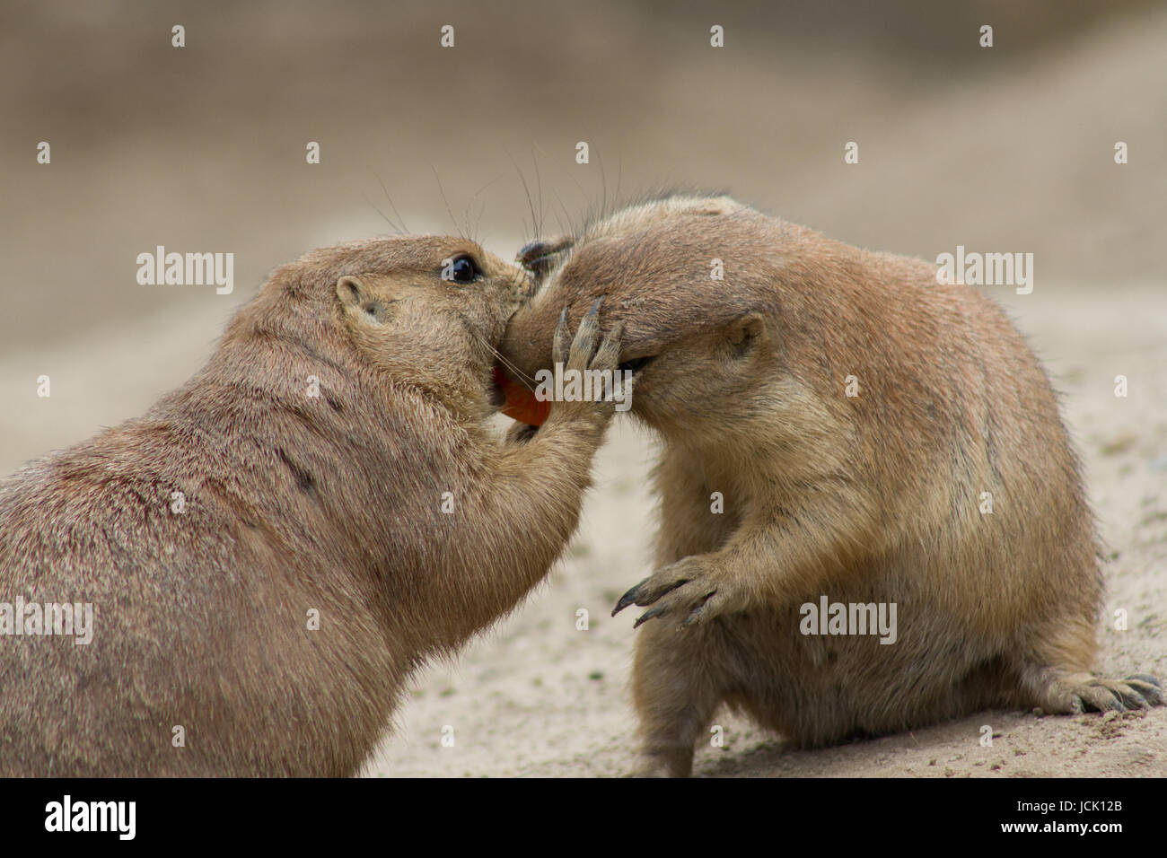 Embracement hi-res stock photography and images - Alamy