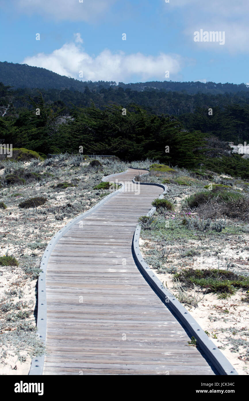 Asilomar Beach, Pacific Grove, California, USA Stock Photo - Alamy