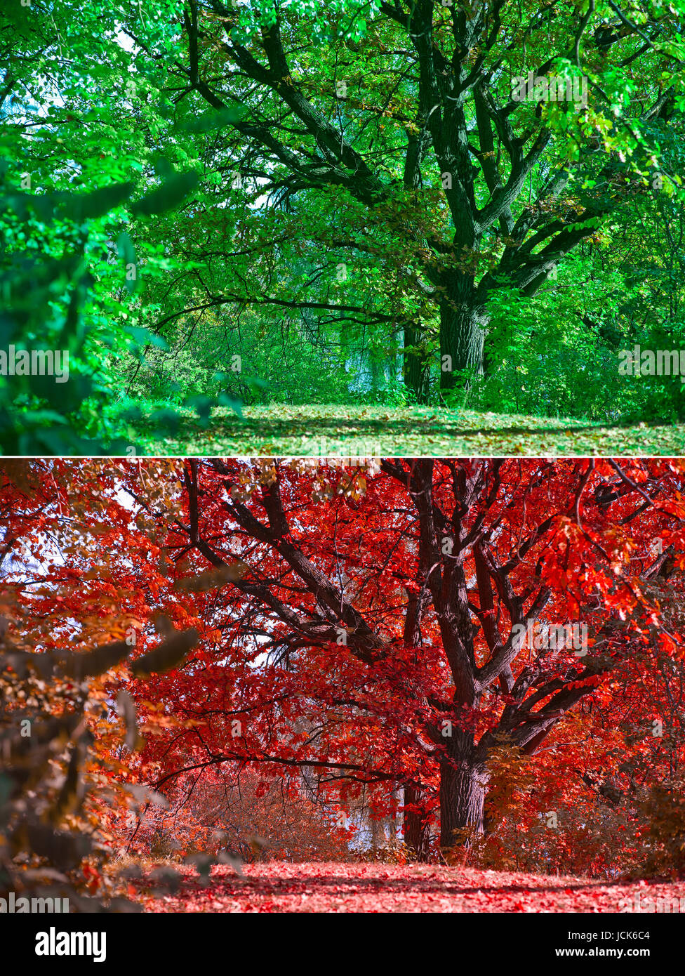 Set of autumn and summer season Stock Photo - Alamy