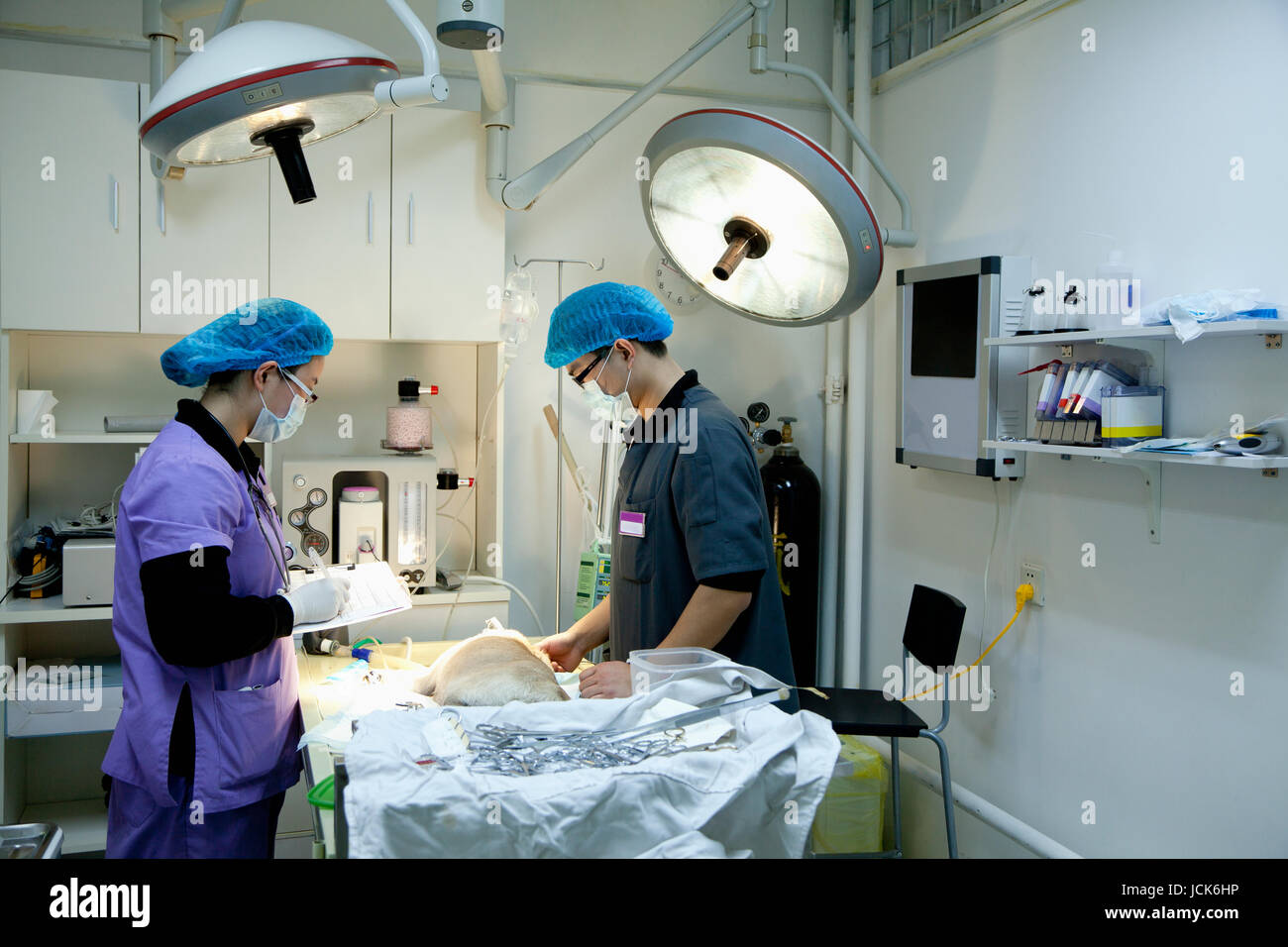 Vet font hi-res stock photography and images - Alamy Vet font hi-res stock photography and images - Alamy