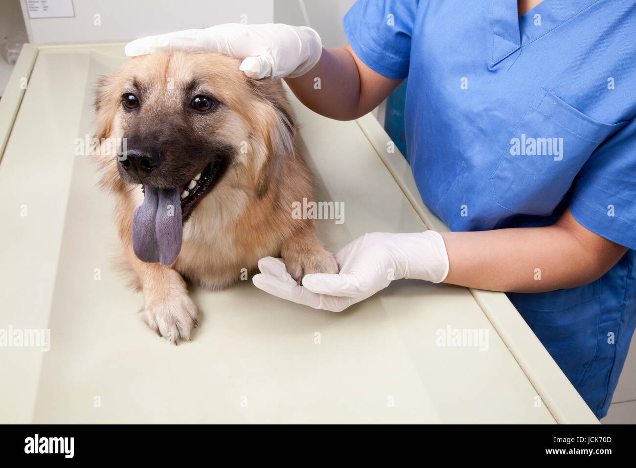 front view photography Stock Photo - Alamy