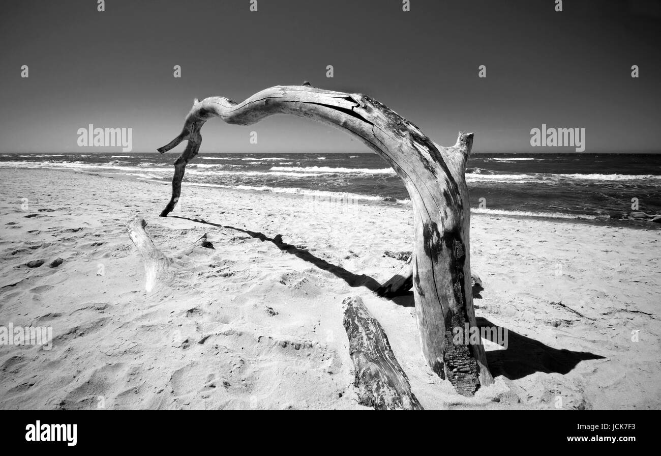Lake view beach Black and White Stock Photos & Images - Alamy