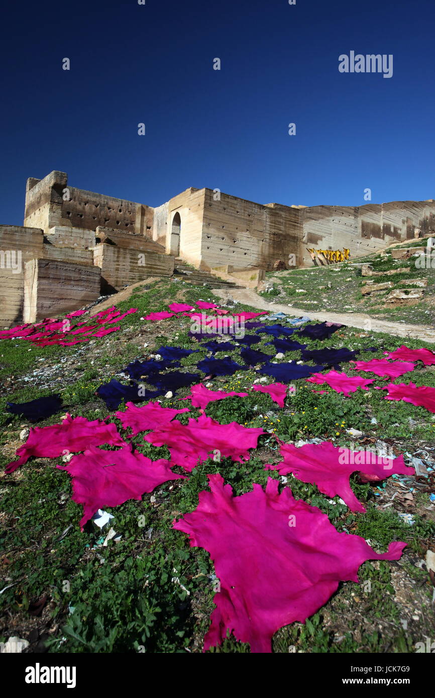 The fresh Leather gets dry on the sun near Leather production in front ...