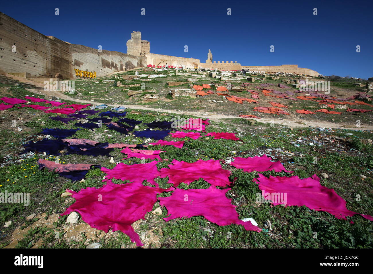 The fresh Leather gets dry on the sun near Leather production in front ...