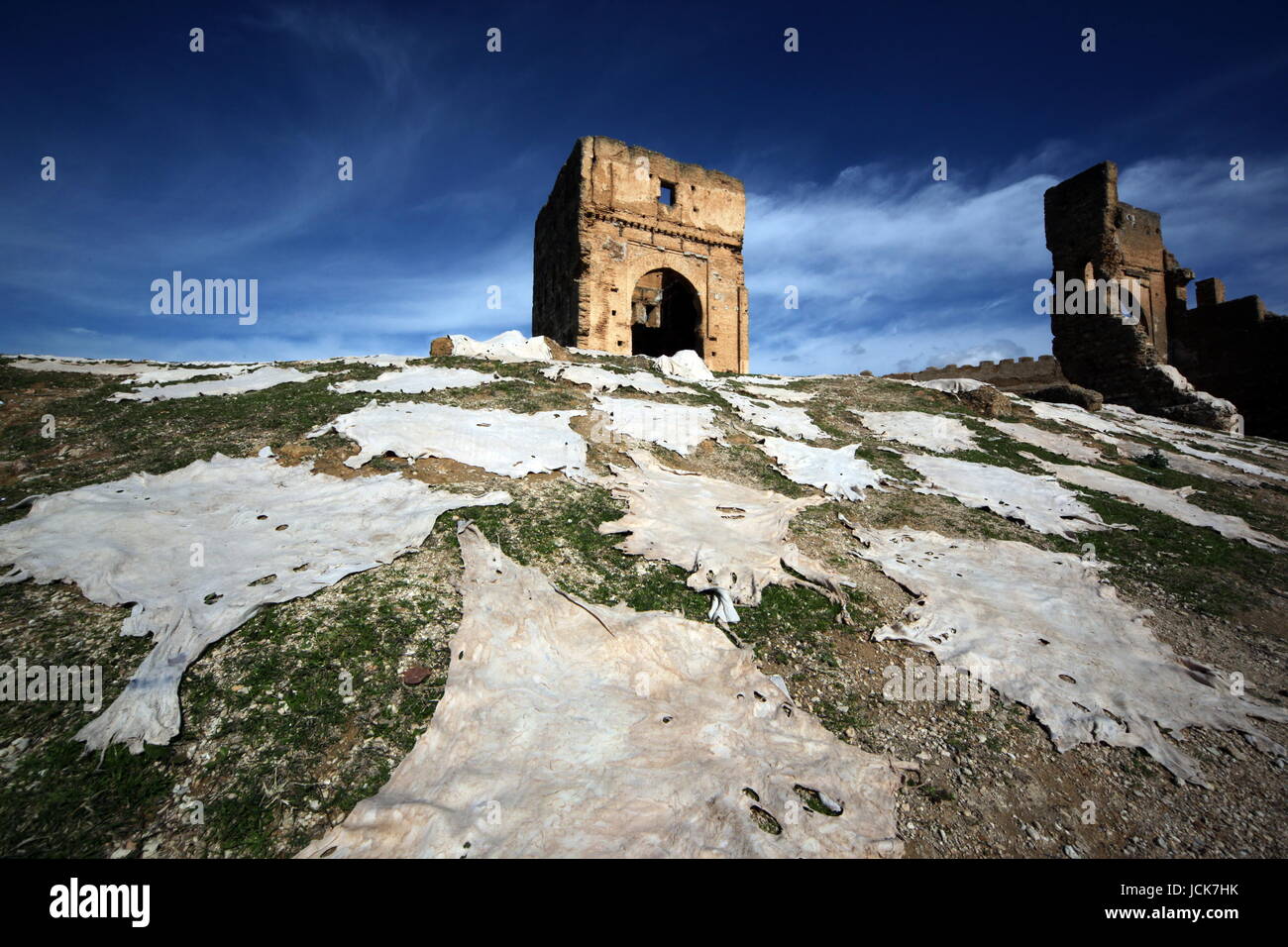 The fresh Leather gets dry on the sun near Leather production in front ...