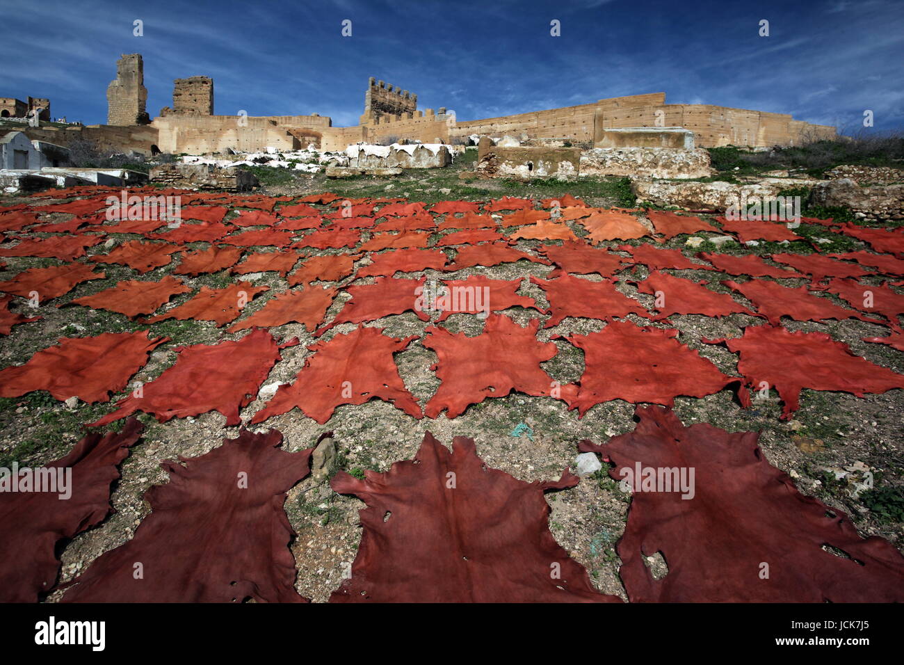 The fresh Leather gets dry on the sun near Leather production in front ...