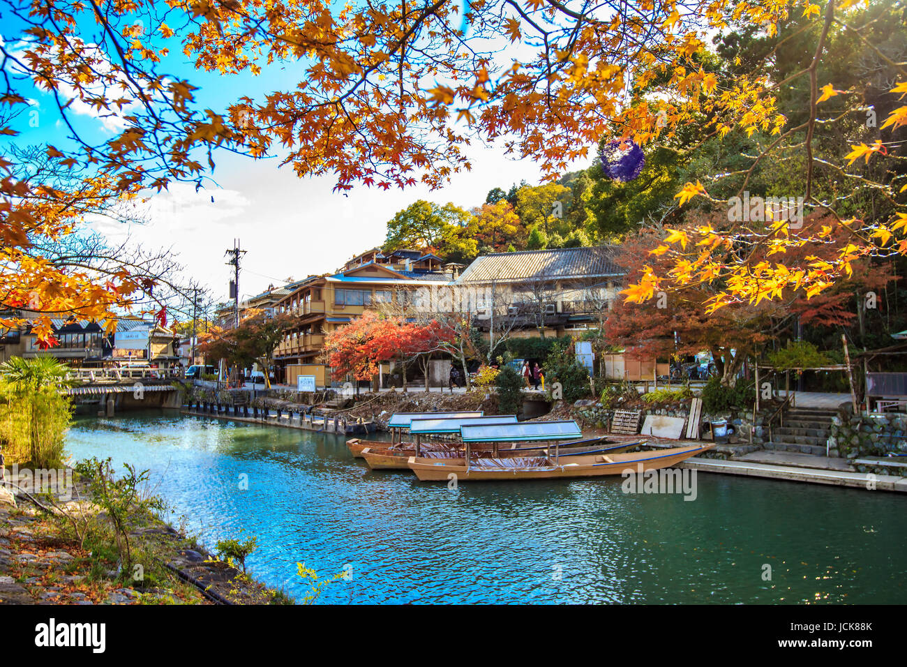 red japanese maple autumn fall , momiji tree in kyoto japan Stock Photo ...