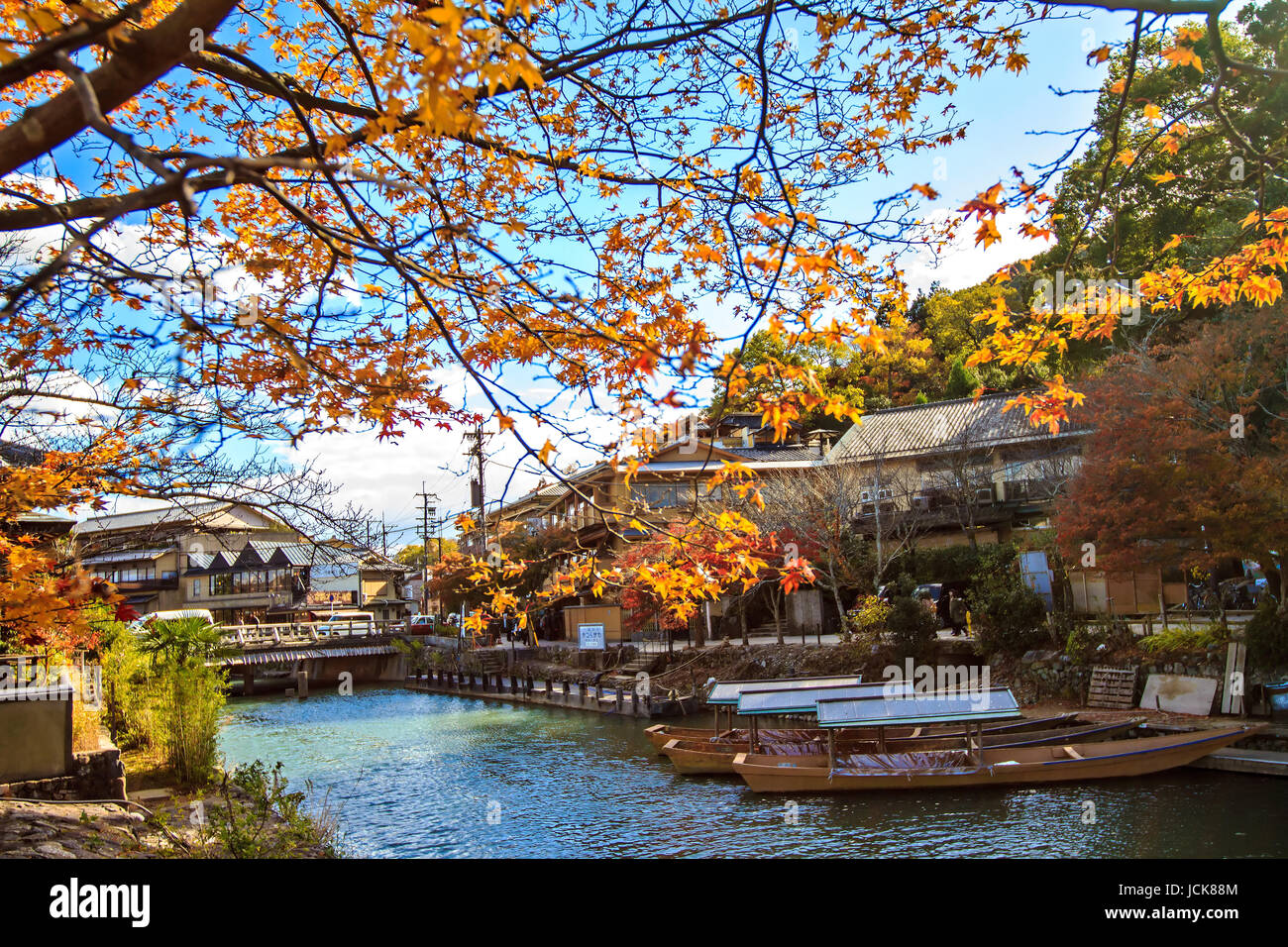Momiji tree hi-res stock photography and images - Alamy