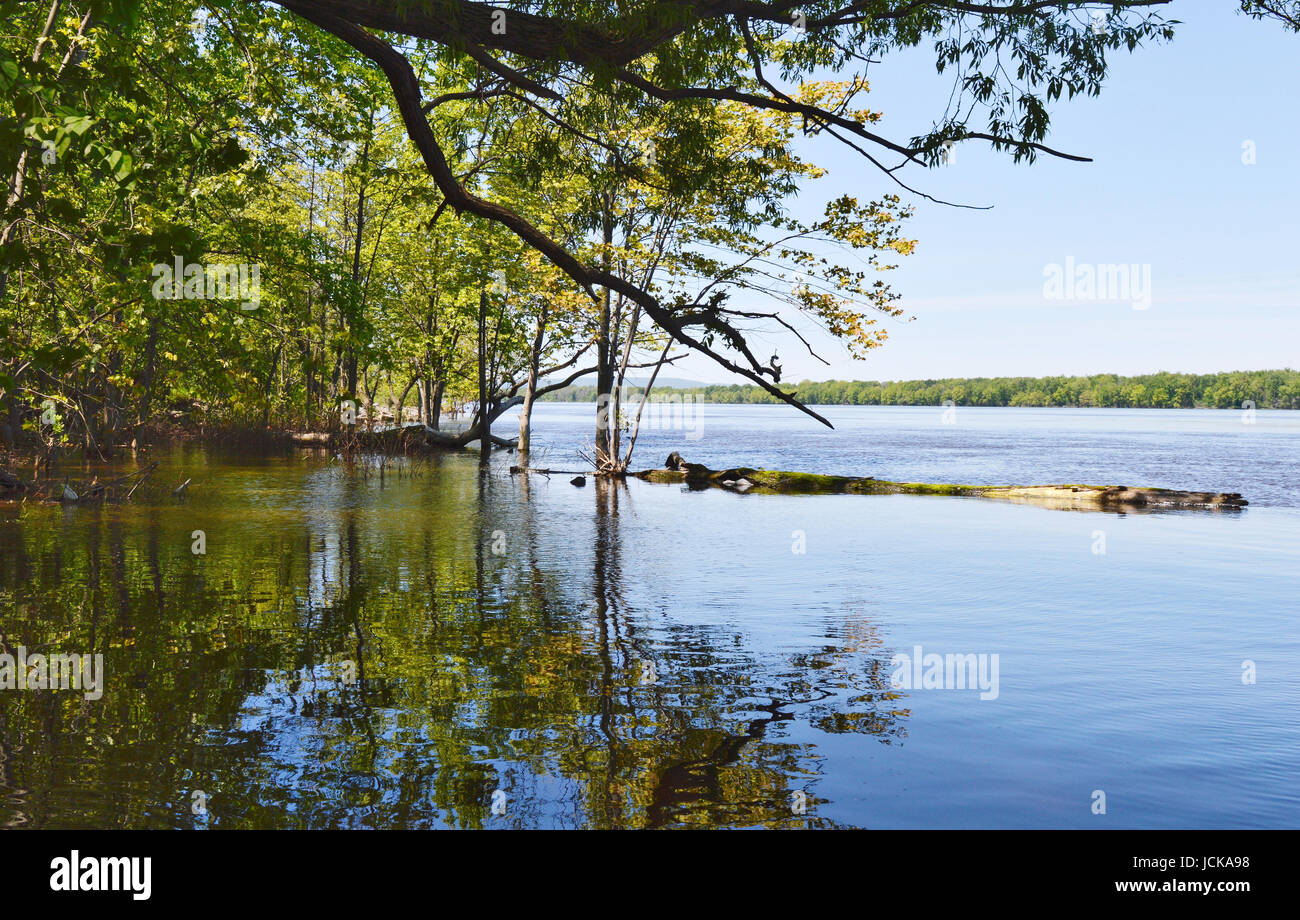 Trees and shribs reflecting on the water hi-res stock photography and ...
