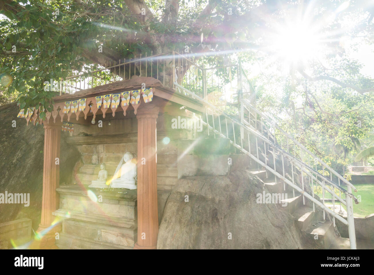 Buddha Meditating Bodhi Tree High Resolution Stock Photography and ...