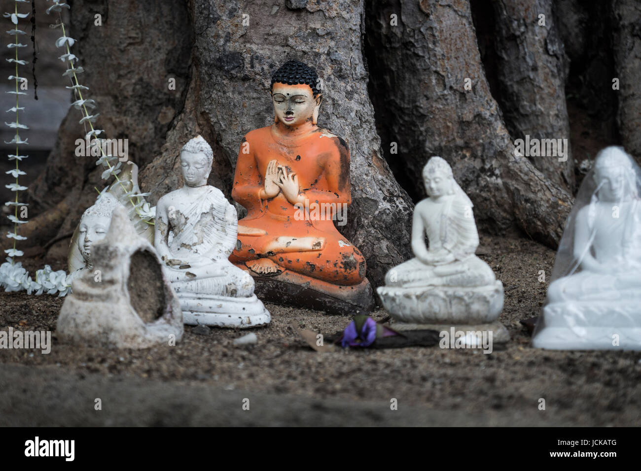 Buddha statue under bodhi tree hi-res stock photography and images - Alamy