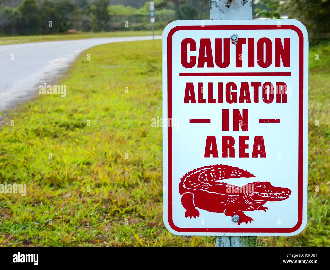 Alligator in the area caution sign, Florida Stock Photo - Alamy