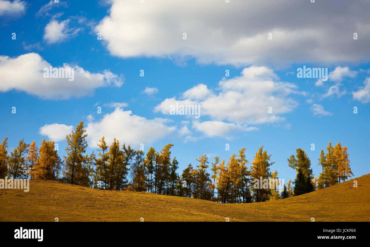 Autumn color woods and hill , scenery in Xinjiang ,China Stock Photo ...