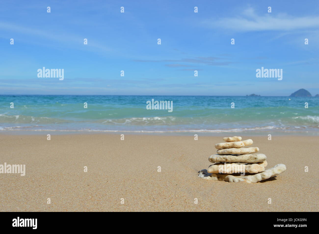 coral on the beach Stock Photo - Alamy