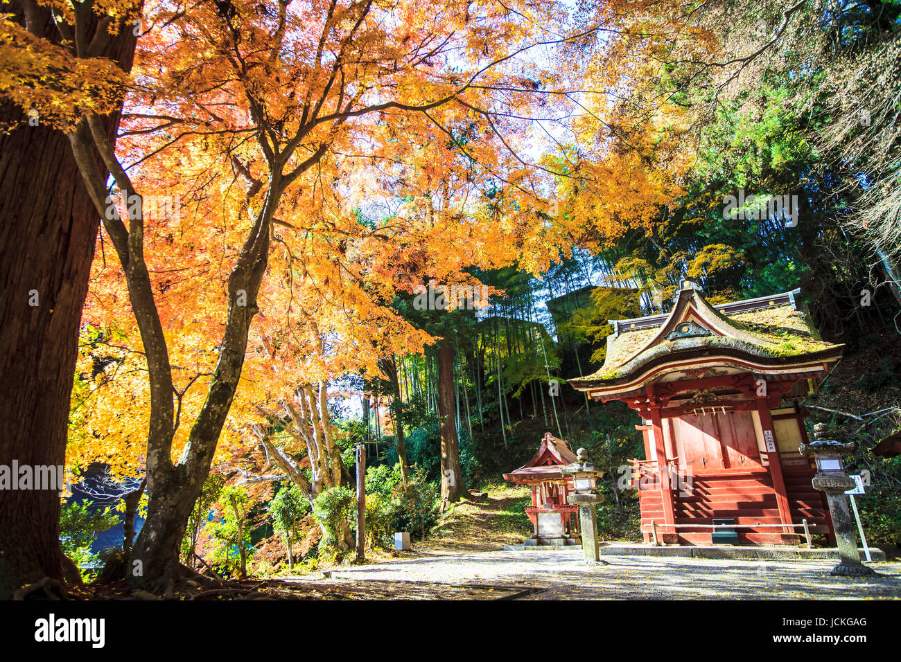 Tanzan Shrine at fall for adv or others purpose use Stock Photo - Alamy