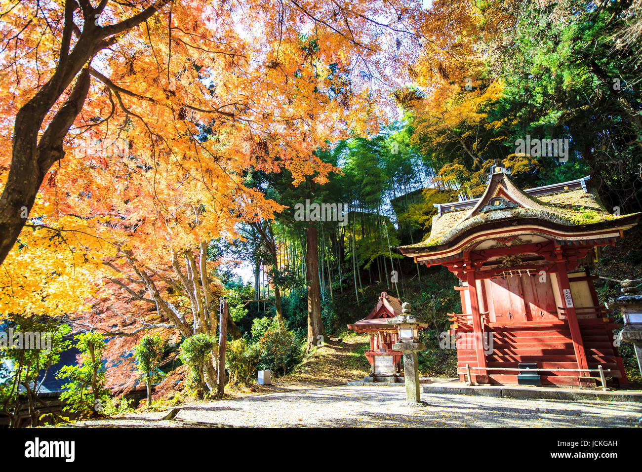 Tanzan Shrine at fall for adv or others purpose use Stock Photo - Alamy