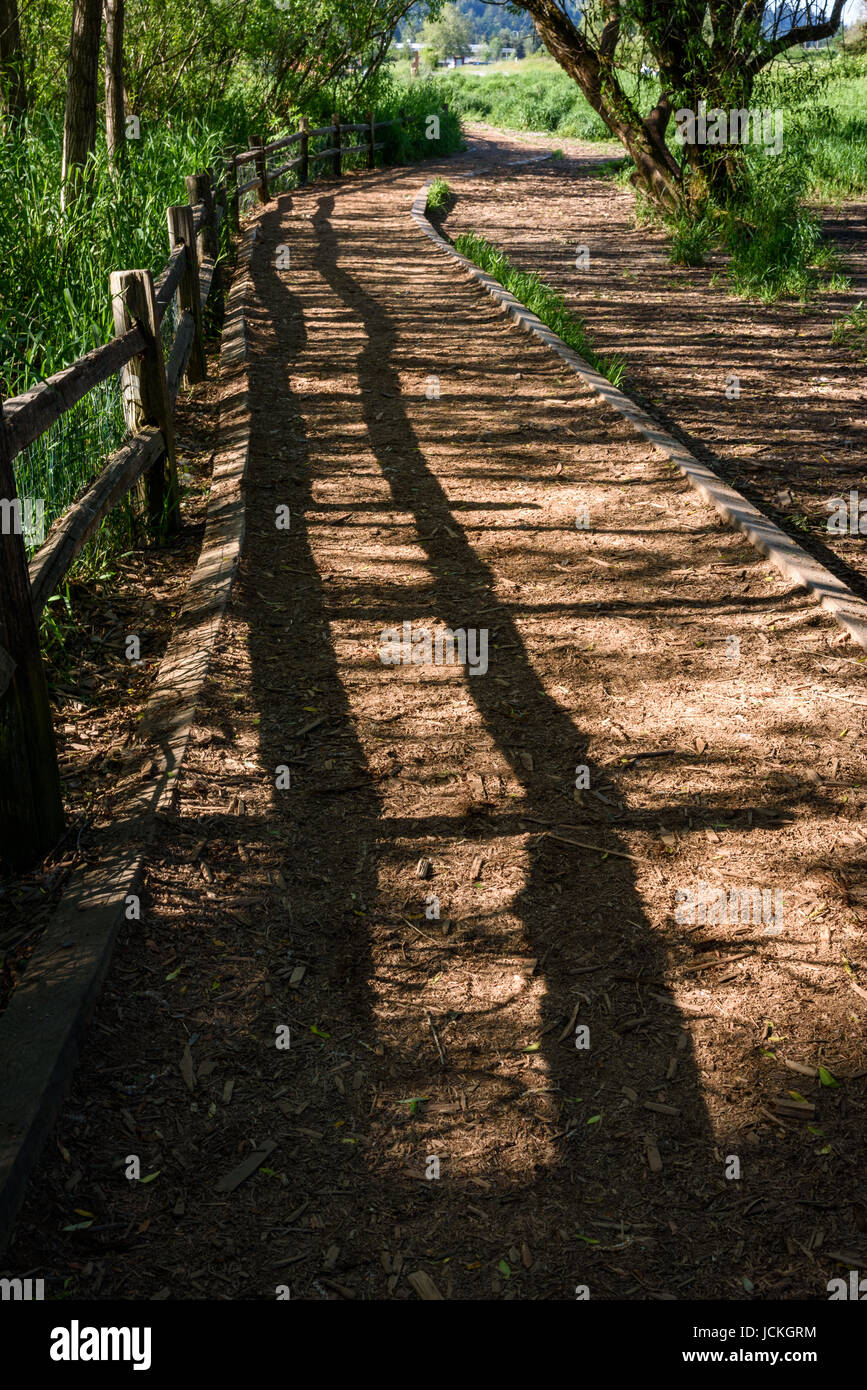 Wide trail with wood chips through a wooded and grassy area, in the ...