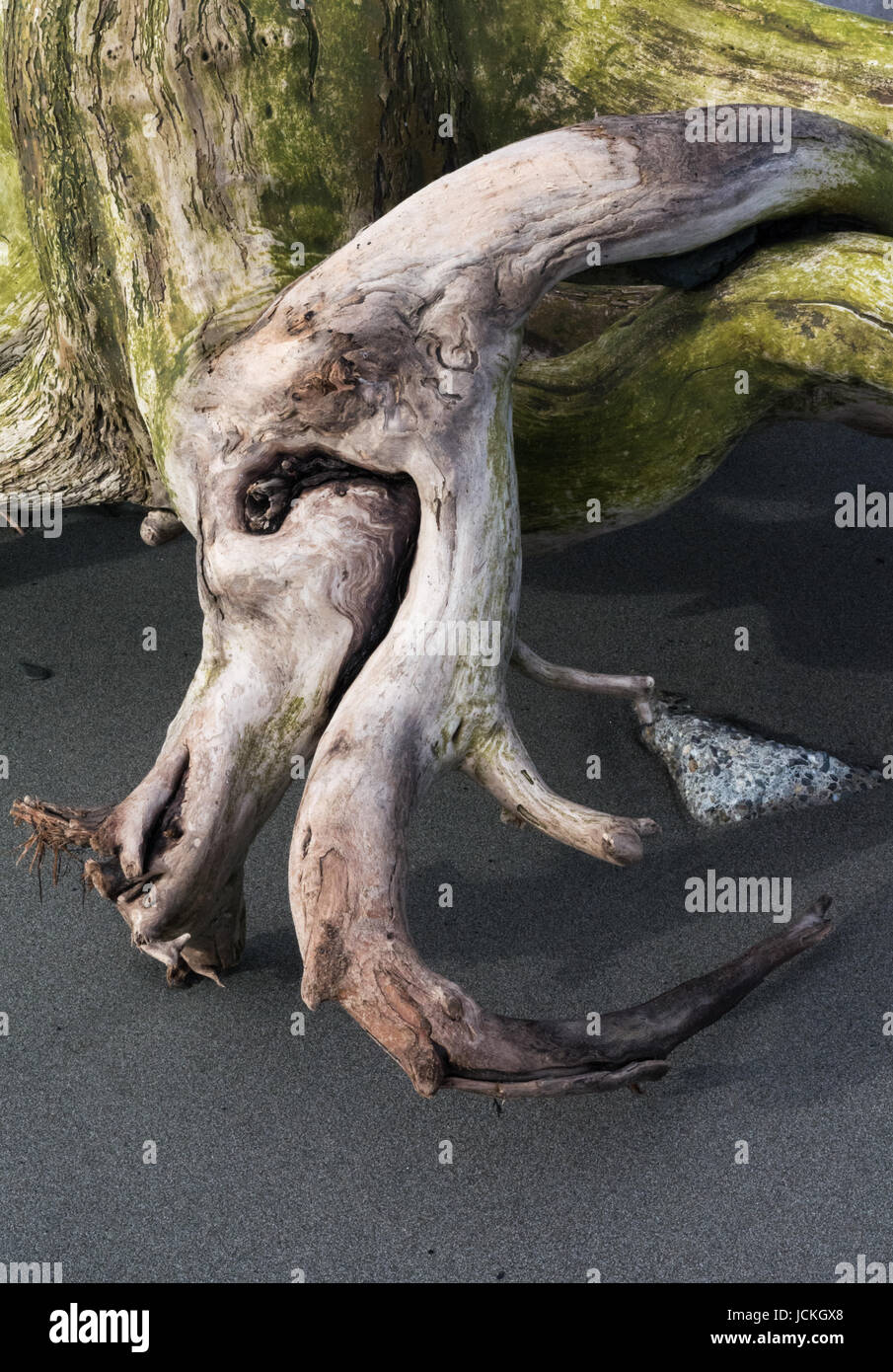 Gnarled fingers hi-res stock photography and images - Alamy