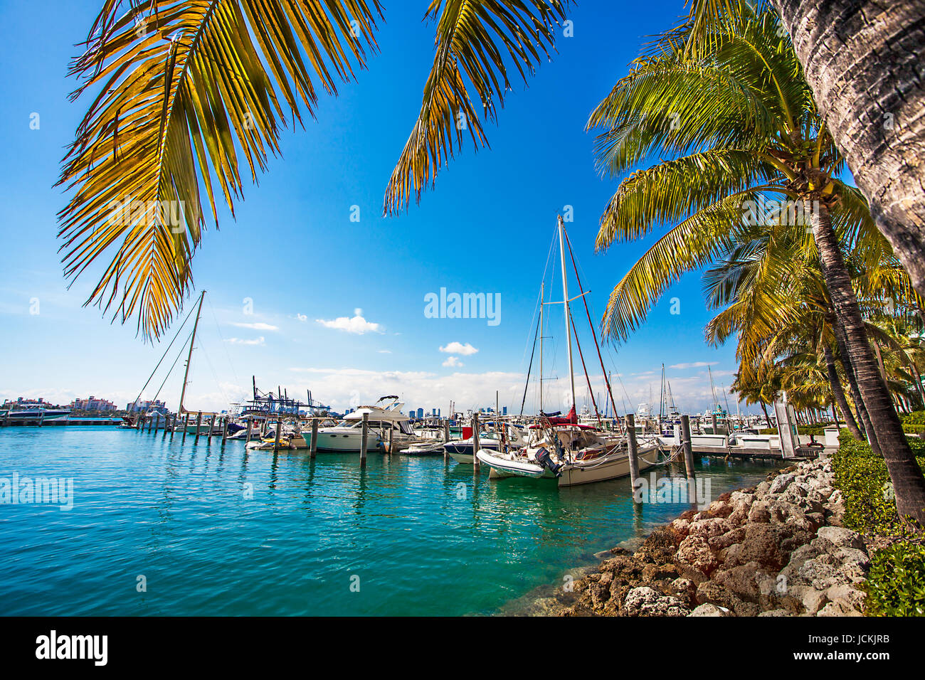 Yacht harbor in Miami Florida USA Stock Photo - Alamy
