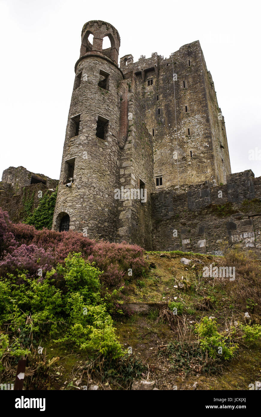 Historical Ireland Blarney Stone