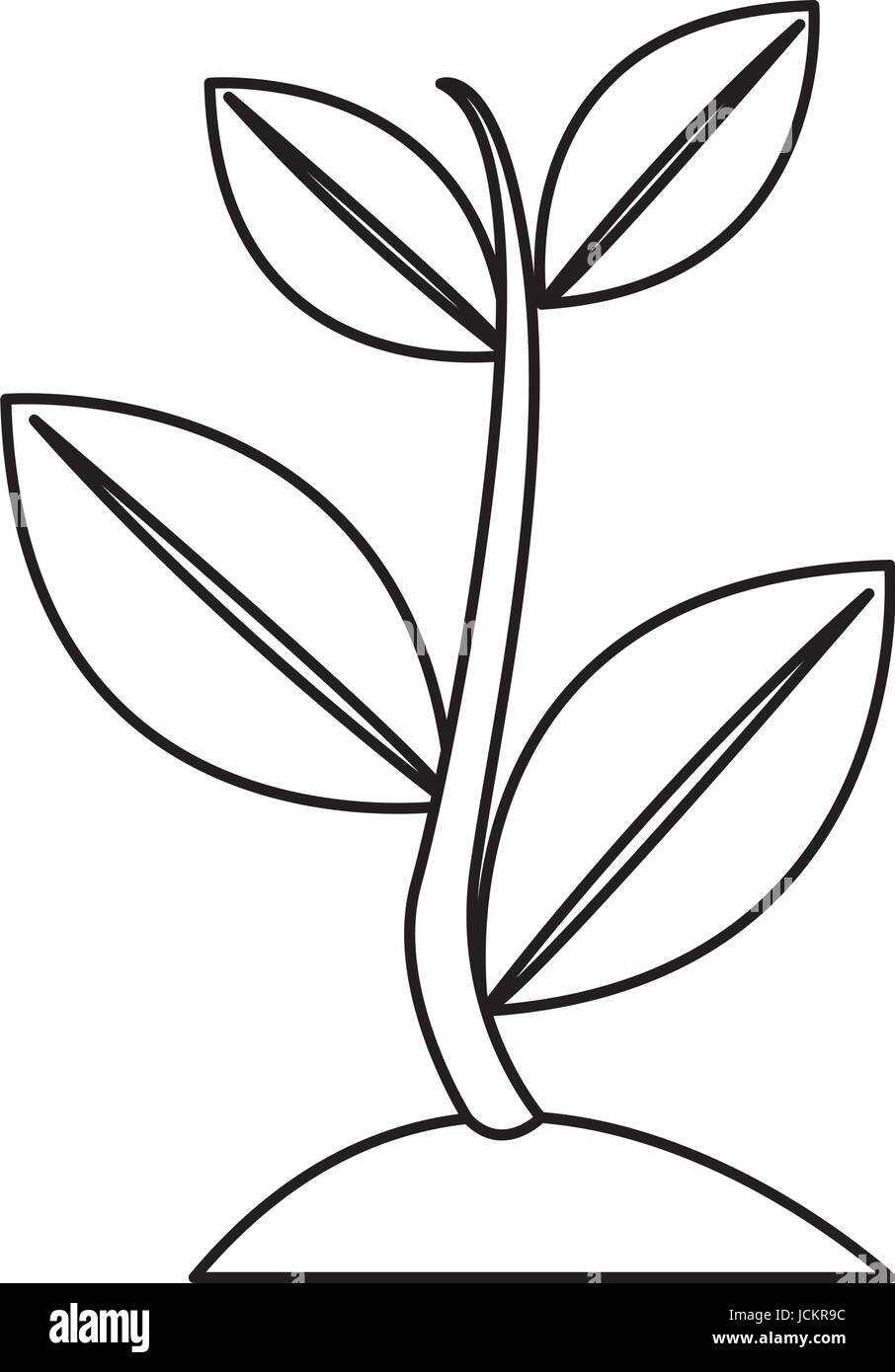 plant sapling growing natural botanical image Stock Vector Image & Art ...