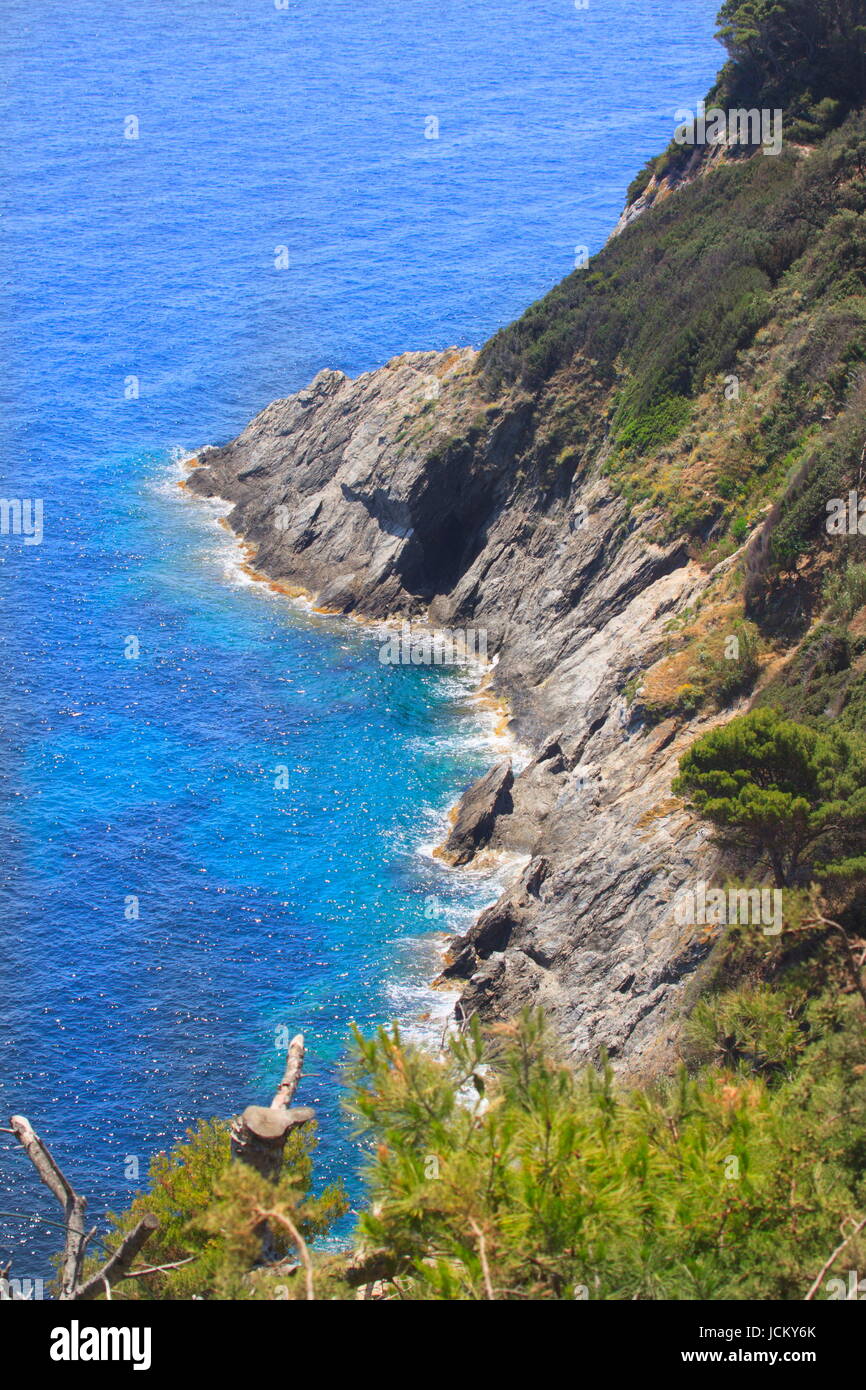 Tuscany coast vineyard hi-res stock photography and images - Alamy