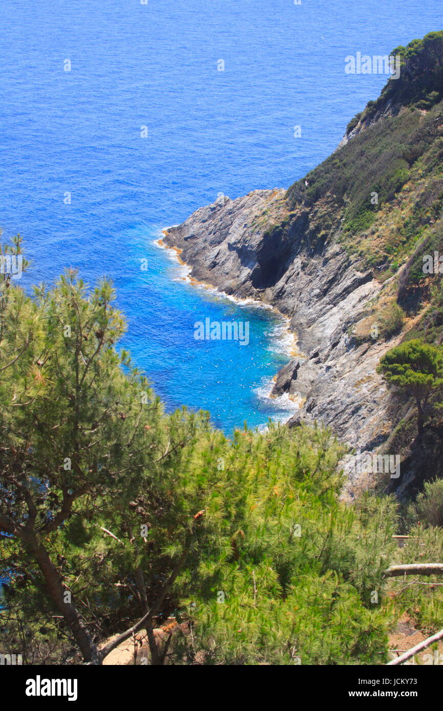 Tuscany coast vineyard hi-res stock photography and images - Alamy