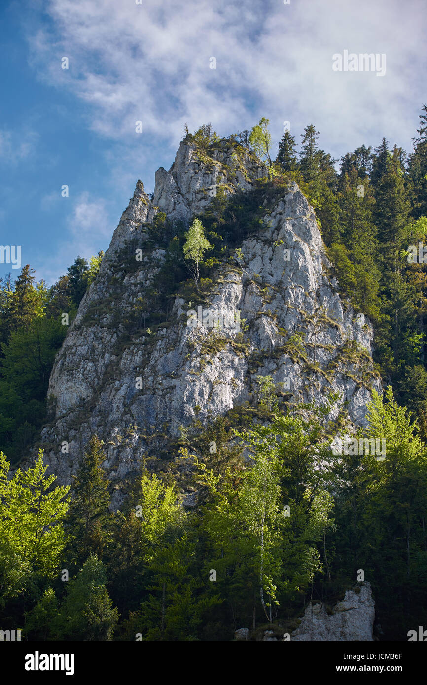 Vertical landscape with mountain peak surrounded by forest Stock Photo ...