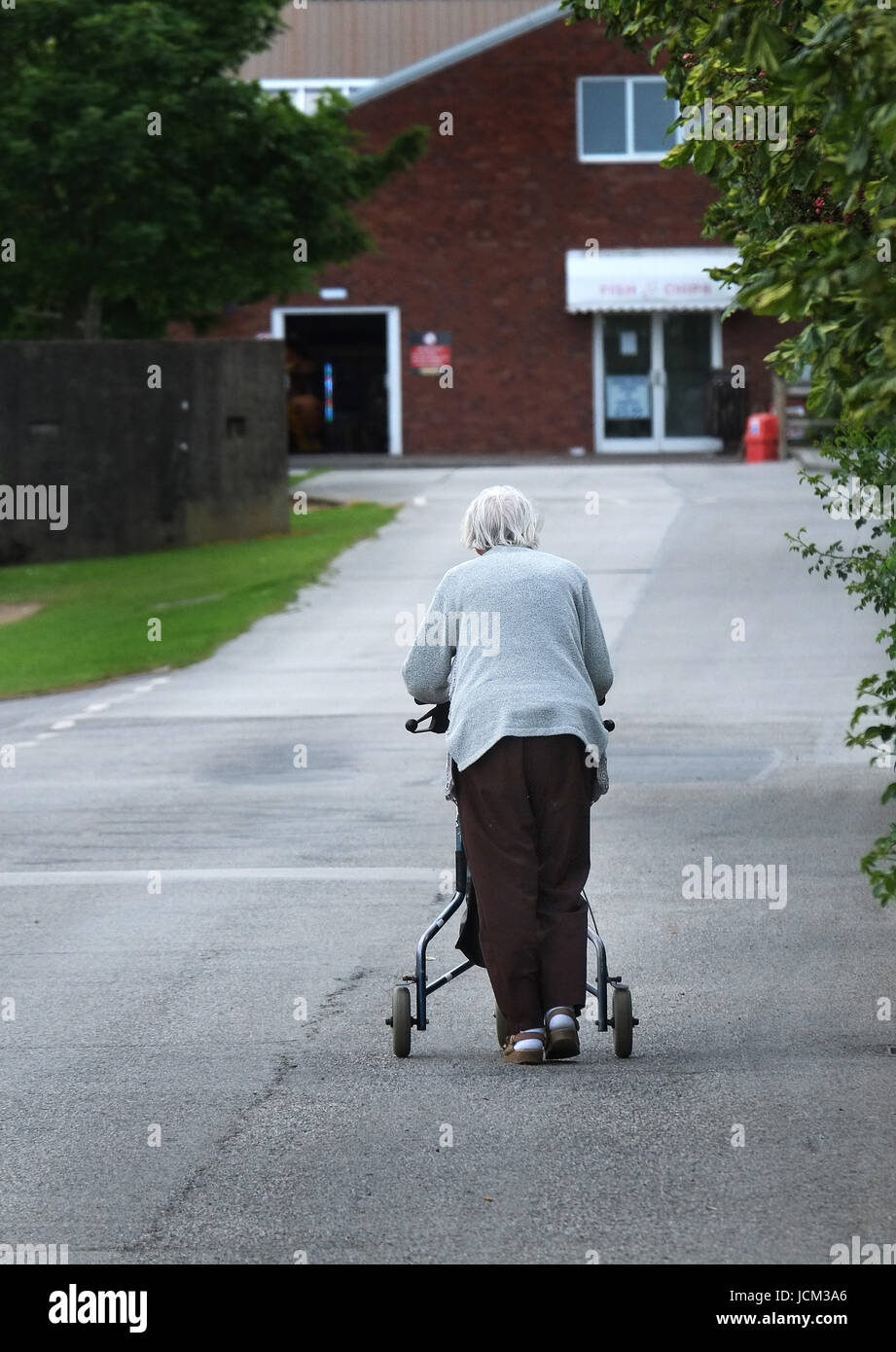 Asimo Helping An Old Lady