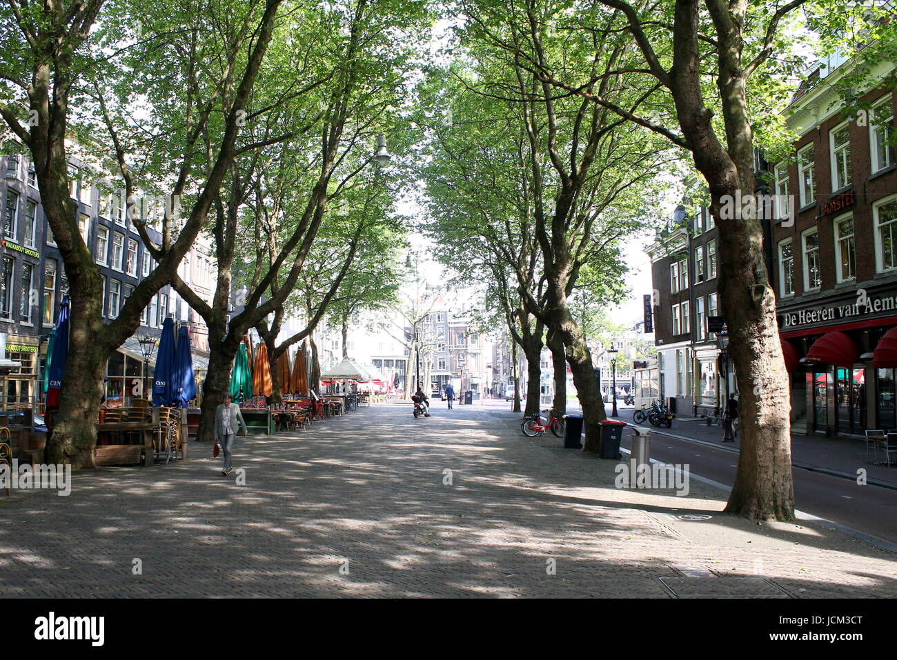 Springtime morning under the shaded trees of Thorbeckeplein, inner city ...