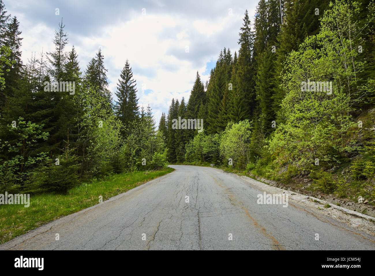 Landscape with a paved road going through forest Stock Photo - Alamy