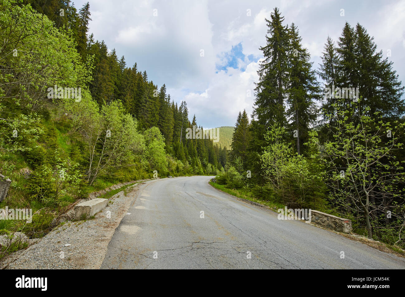 Paved road going through forest hi-res stock photography and images - Alamy