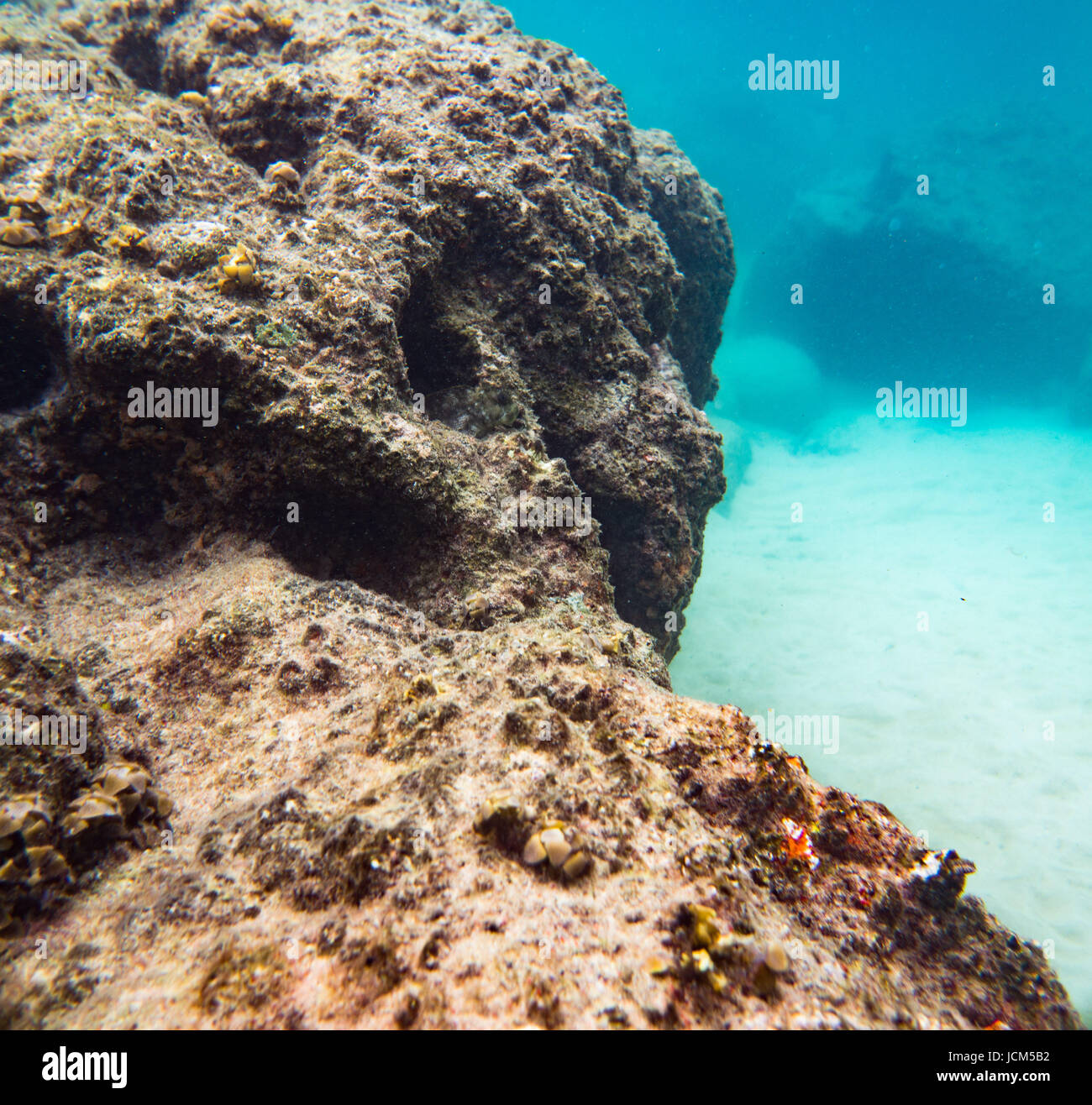 Beautiful underwater sea, ocean landscape background Stock Photo - Alamy