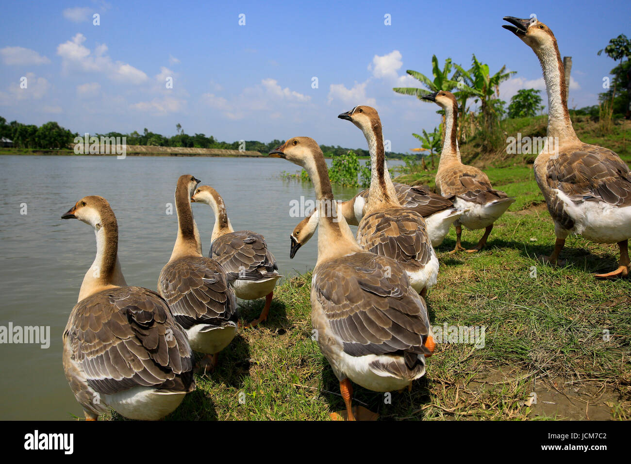 Beautiful rivers and environment hi-res stock photography and images ...