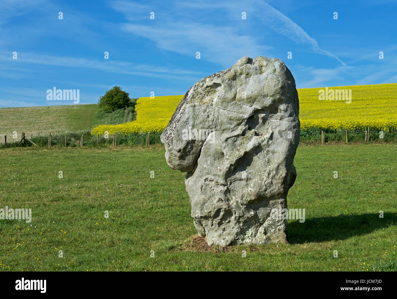 Standing stone, Avebury, Wiltshire, England UK Stock Photo - Alamy
