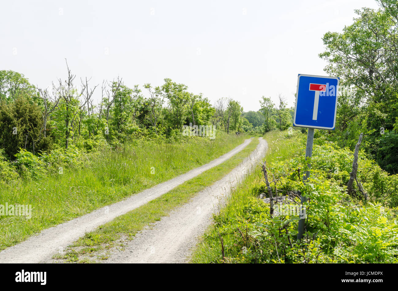 Green dead end gravel road by springtime Stock Photo - Alamy
