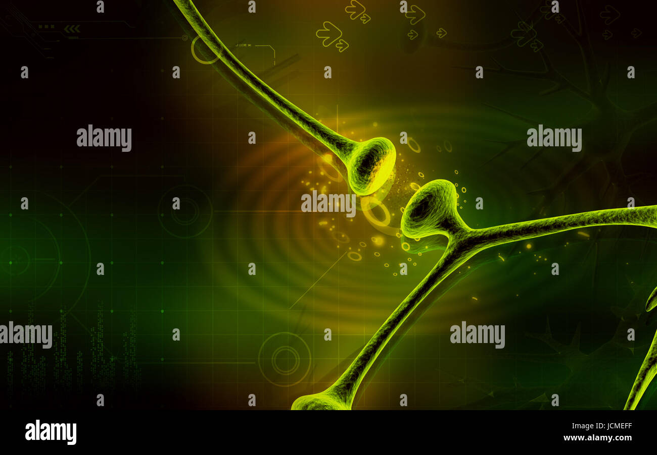 Neuron transmitter hi-res stock photography and images - Alamy
