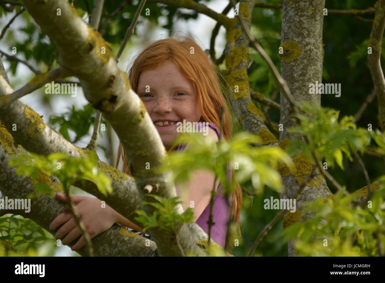 Red hair young girl in tree Stock Photo - Alamy