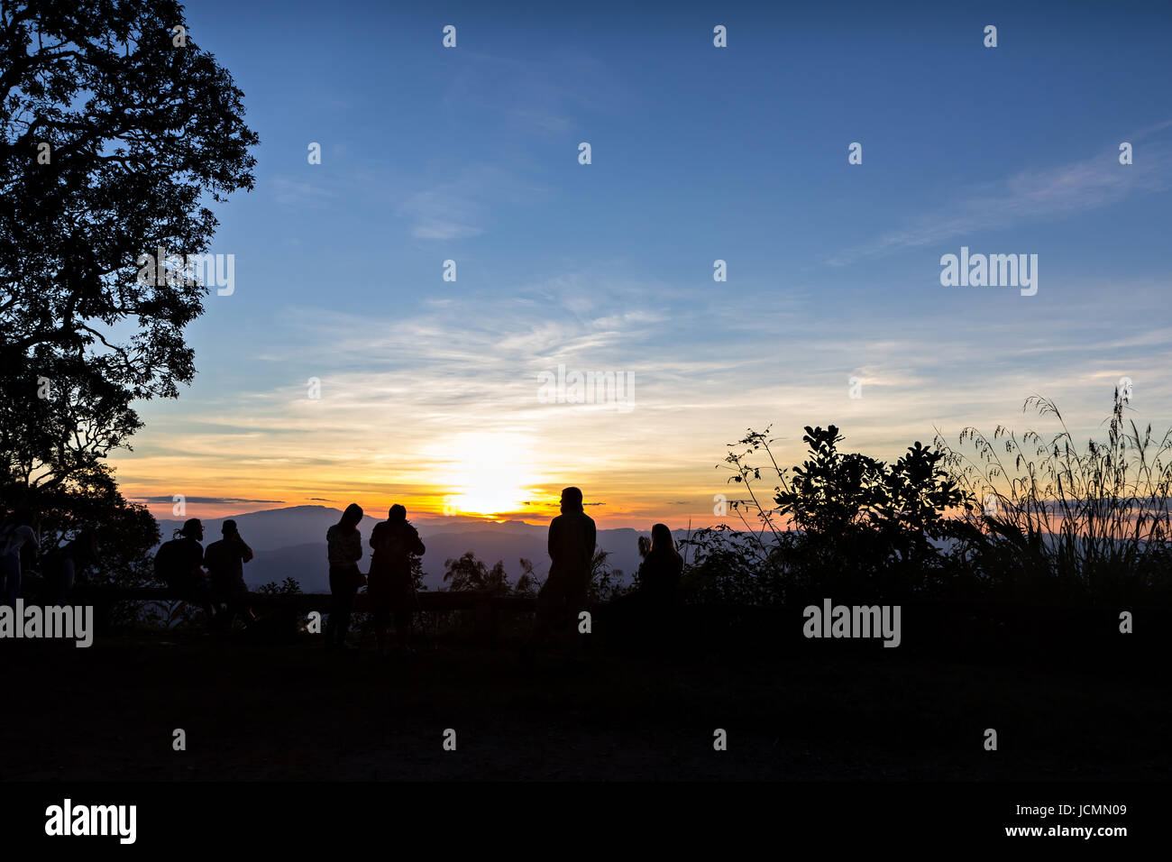 People with trees silhouetted and stunning sunset Stock Photo - Alamy