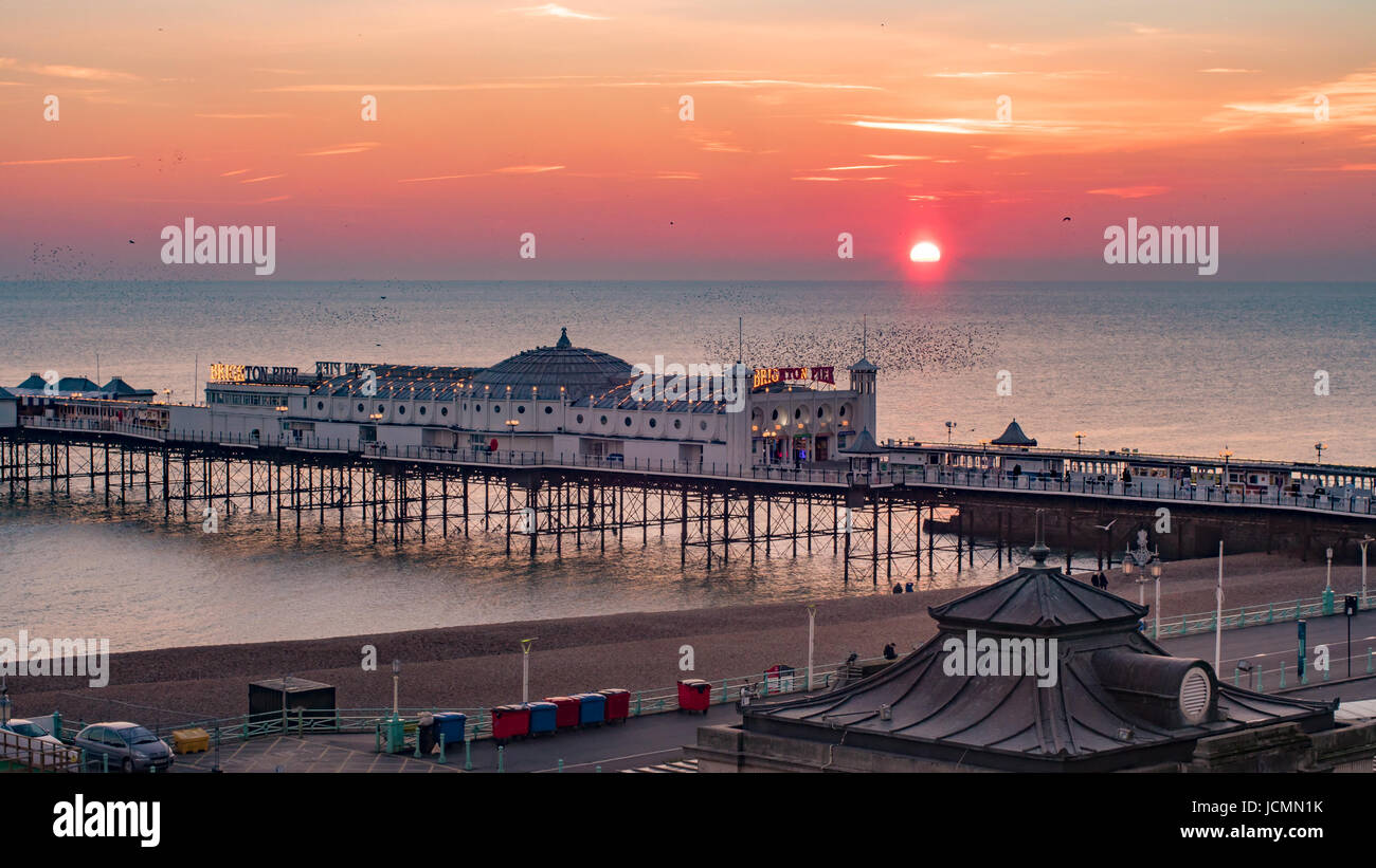 Brighton pier starlings hi-res stock photography and images - Alamy