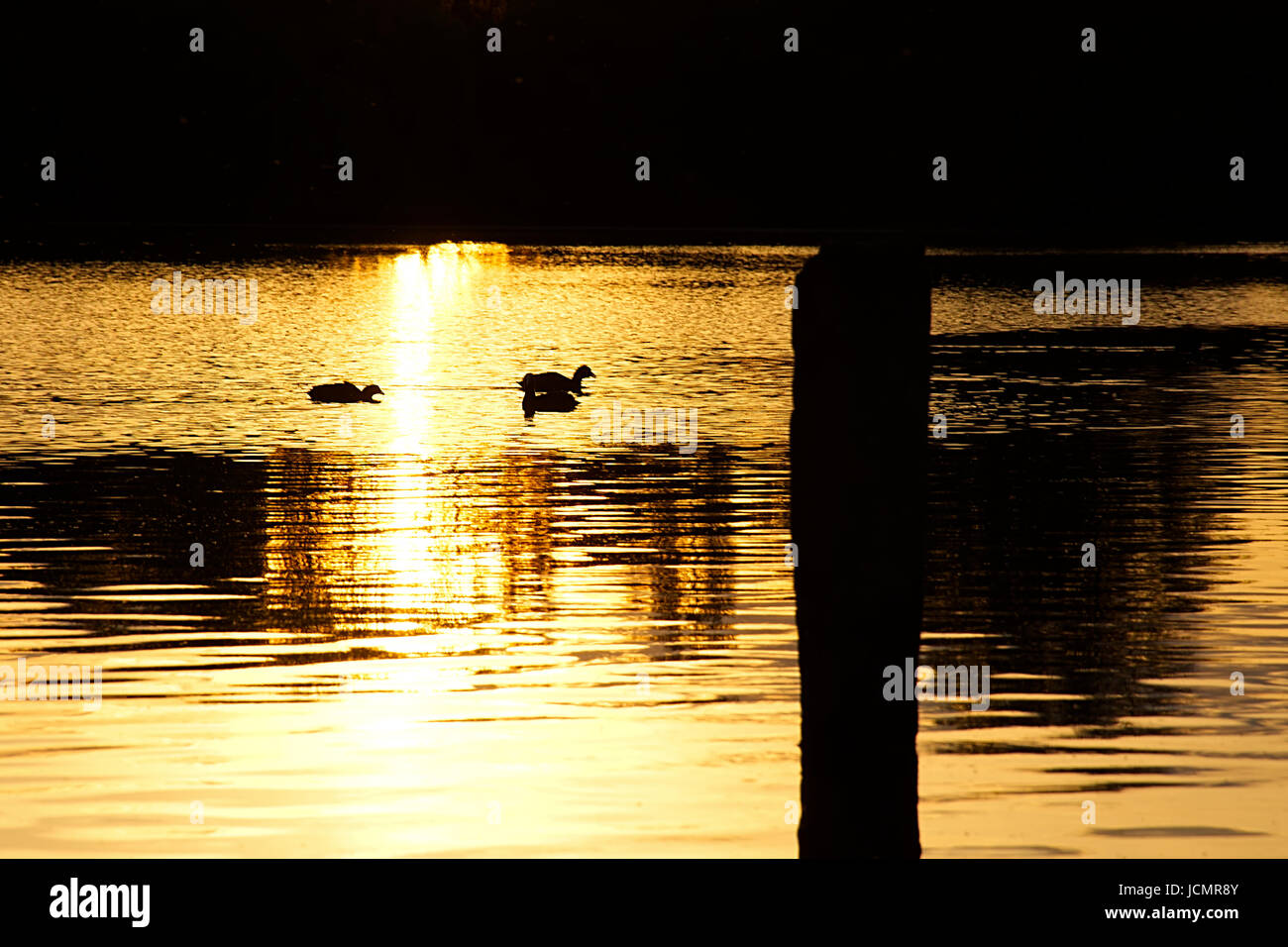 Westport lake nature reserve hi-res stock photography and images - Alamy
