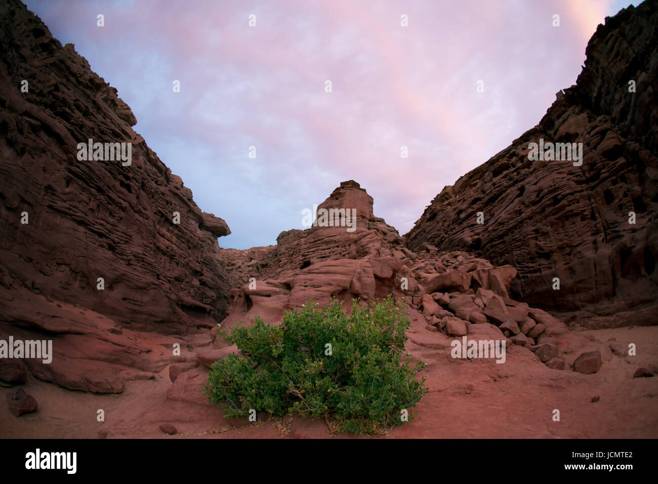 Red Canyon. South Sinai. Egypt Stock Photo - Alamy