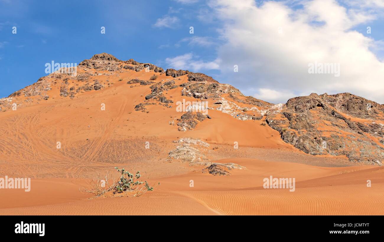 Red sand Arabian desert near Dubai, United Arab Emirates Stock Photo ...