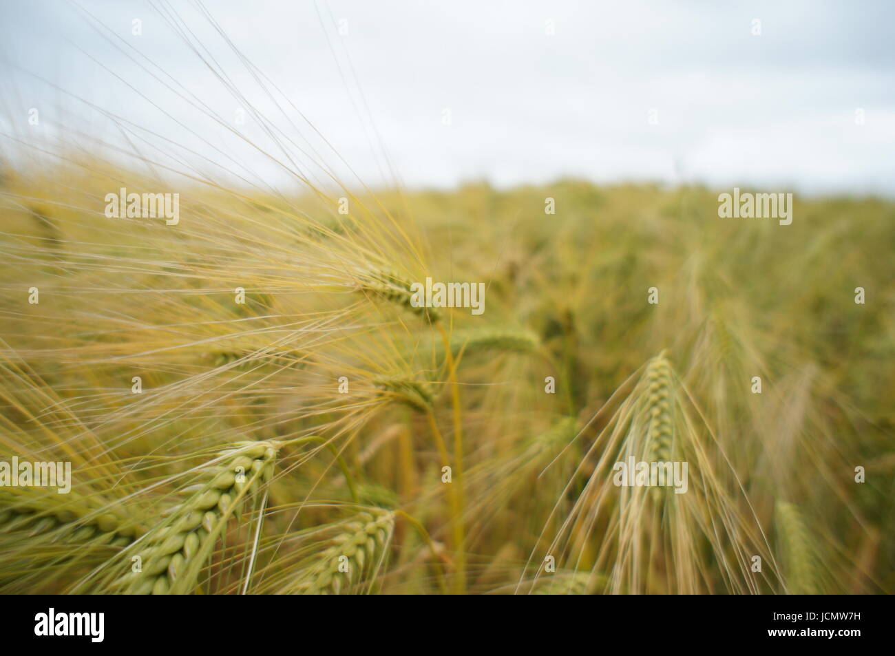 Abstract farming hi-res stock photography and images - Alamy
