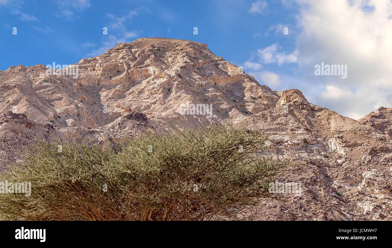 Red sand Arabian desert near Dubai, United Arab Emirates Stock Photo ...
