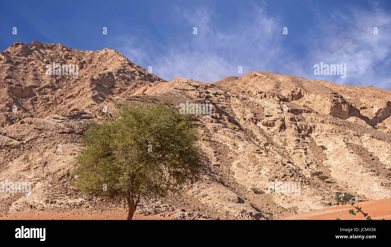 Red sand Arabian desert near Dubai, United Arab Emirates Stock Photo ...
