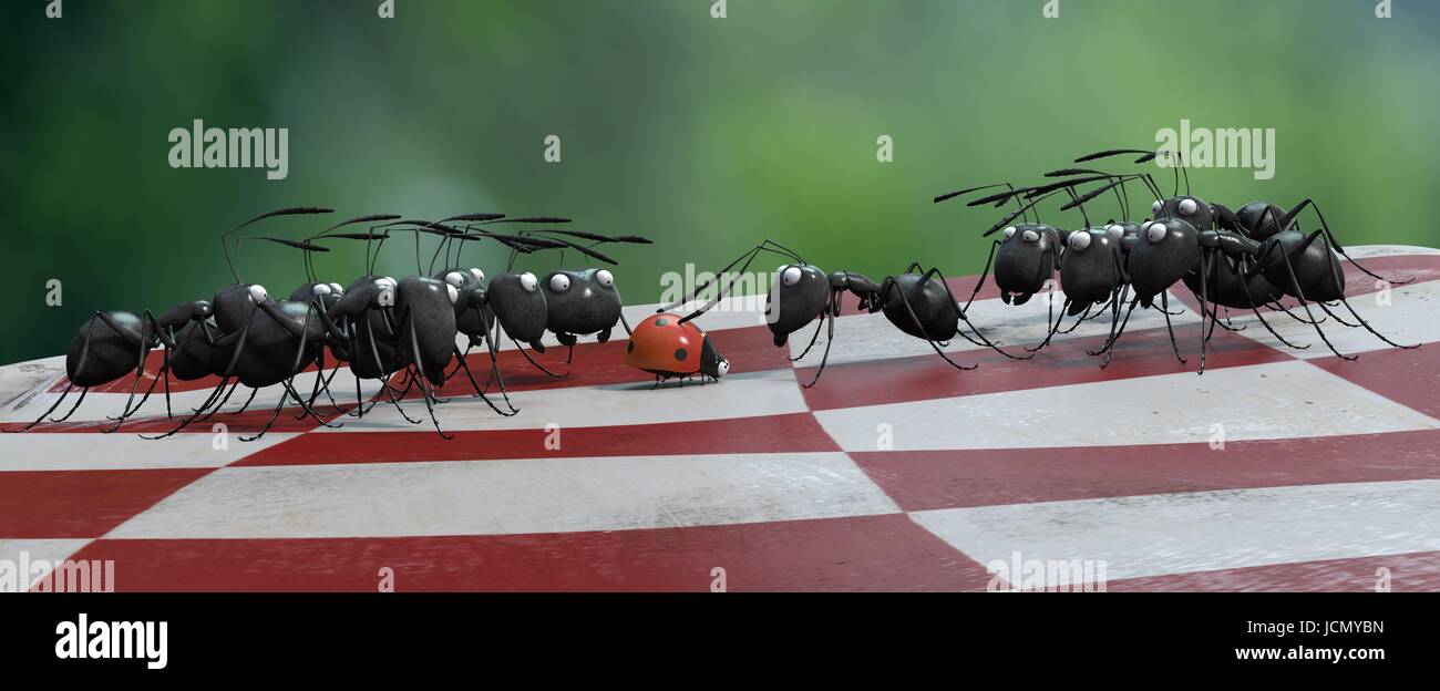 Black ant ladybird minuscule hi-res stock photography and images - Alamy